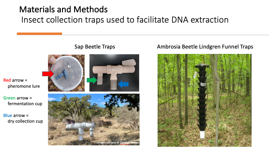 Collaborative Research Projects | Forest Resources AgResearch and ...
